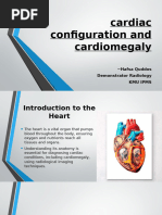 Anatomy Heart Cadaver | PDF | Heart Valve | Coronary Circulation