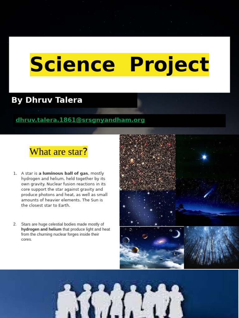 Science Fair | PDF