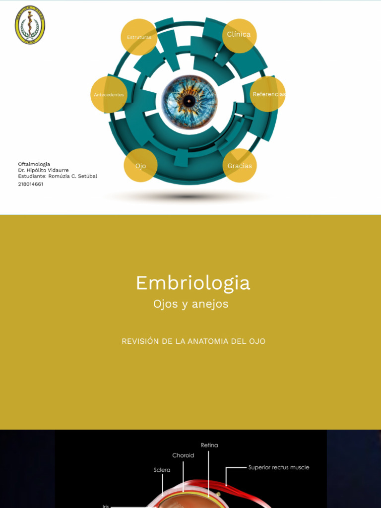 Presentacion Desarrollo Embrionario (2) | PDF Presentacion Desarrollo Embrionario (2) | PDF