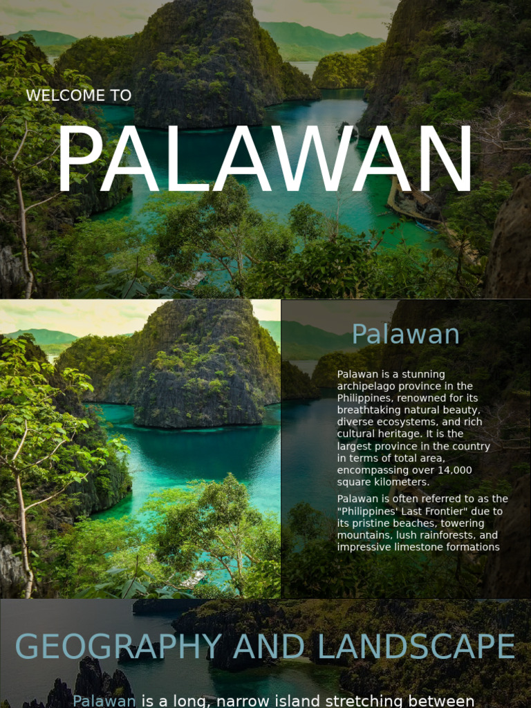 Palawan | PDF | Festival | Vietnamese Cuisine