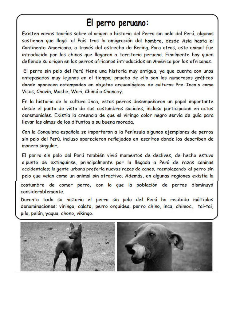 Texto Ece Del Perro Peruano | PDF