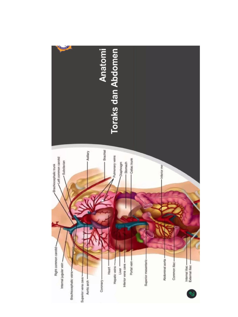 Trauma Muskuloskeletal | PDF