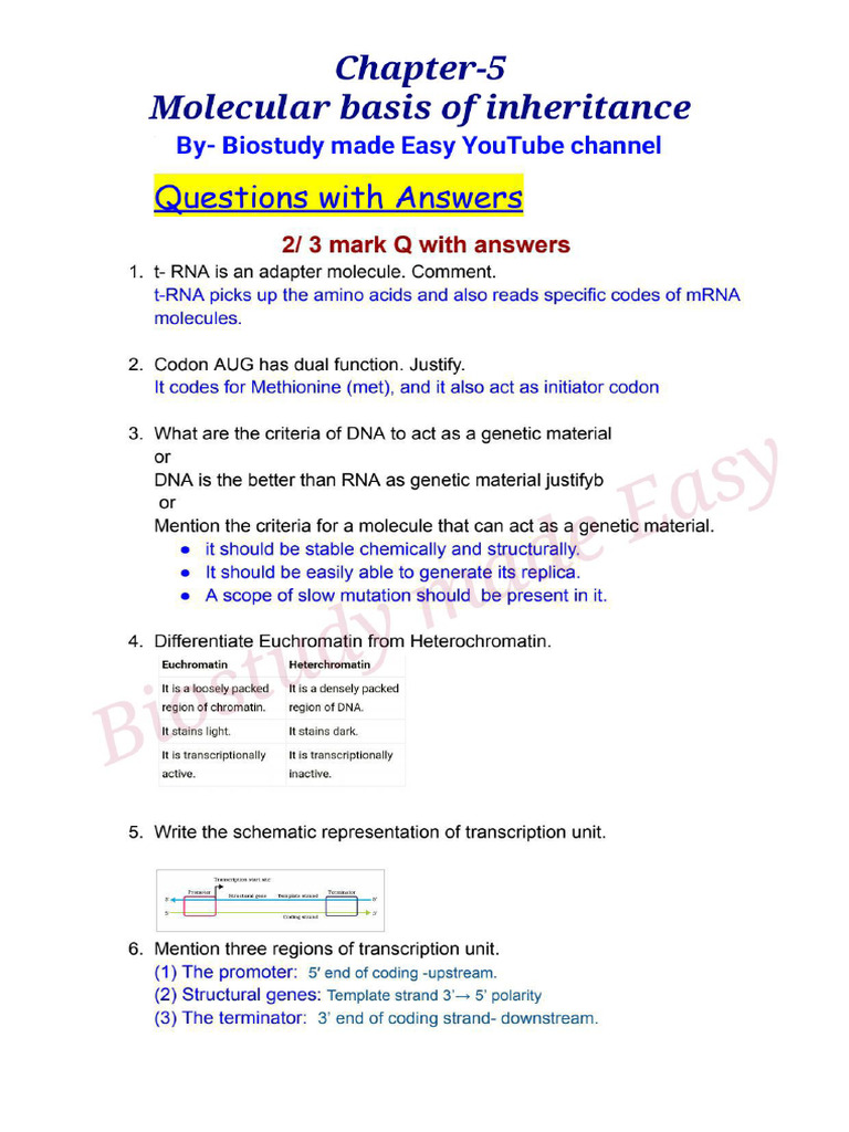 2 PU-Molecular Basis of Inheritance Q&A | PDF