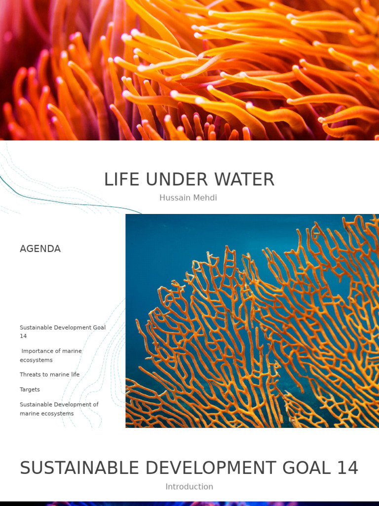 Life Under Water | PDF | Overfishing | Climate Change
