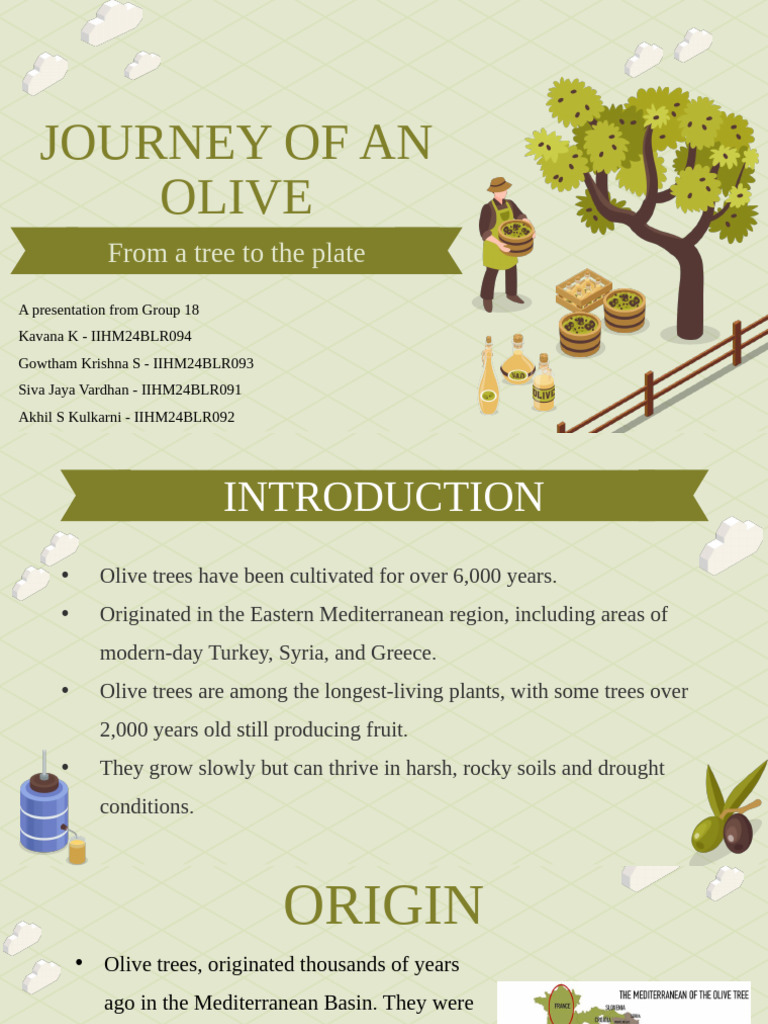 Business Communication | PDF | Olive | Foods