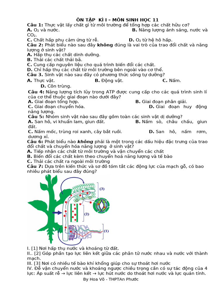 Gui Hs-ôn Tập Kì i | PDF