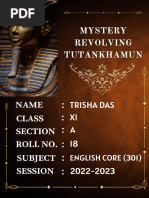 King Tut CT Scan Project | PDF | Tutankhamun | Mummy