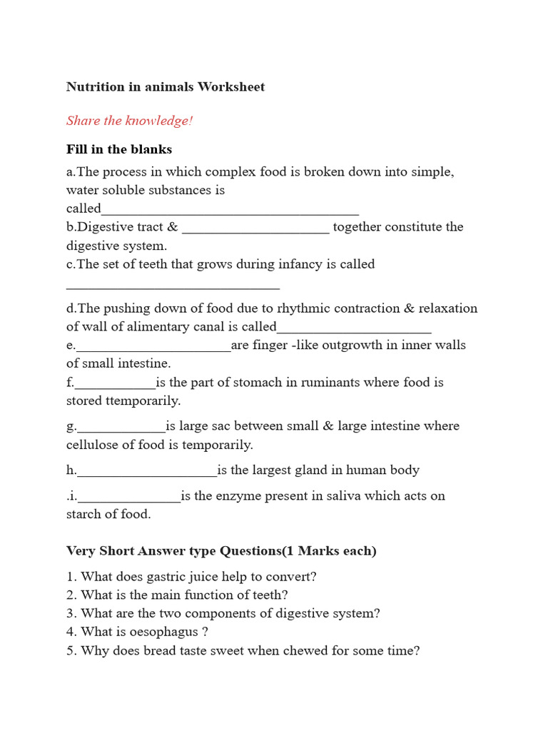 Ch.2 Nutrition in Animals Worksheet | PDF | Digestion | Human Digestive ...