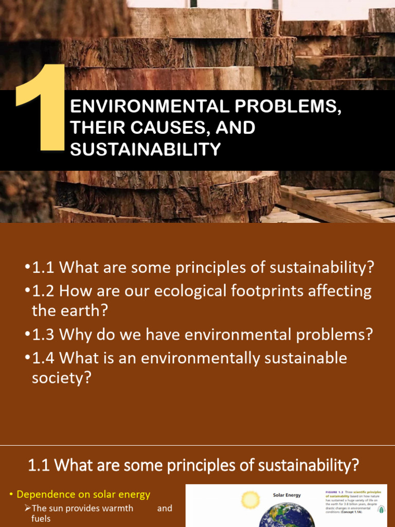 Principles of Environmental Sustainability | PDF | Sustainability ...