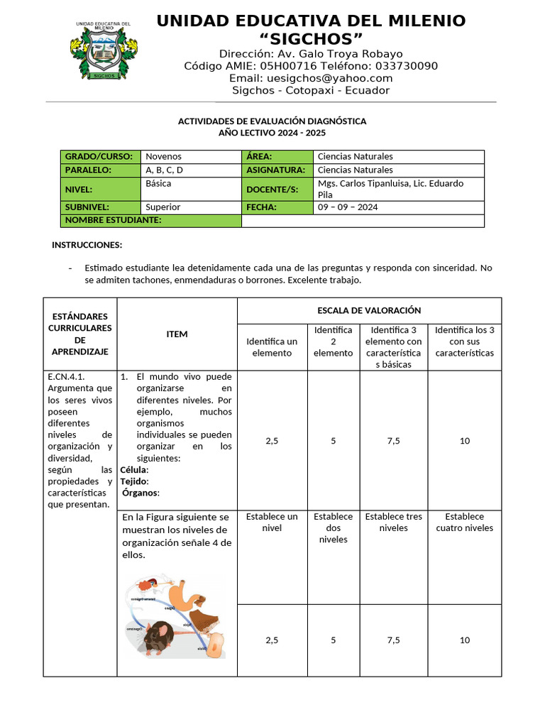 Ev. Diagnóstica Ccnn 9no (1) | PDF | Hoja | Ecología