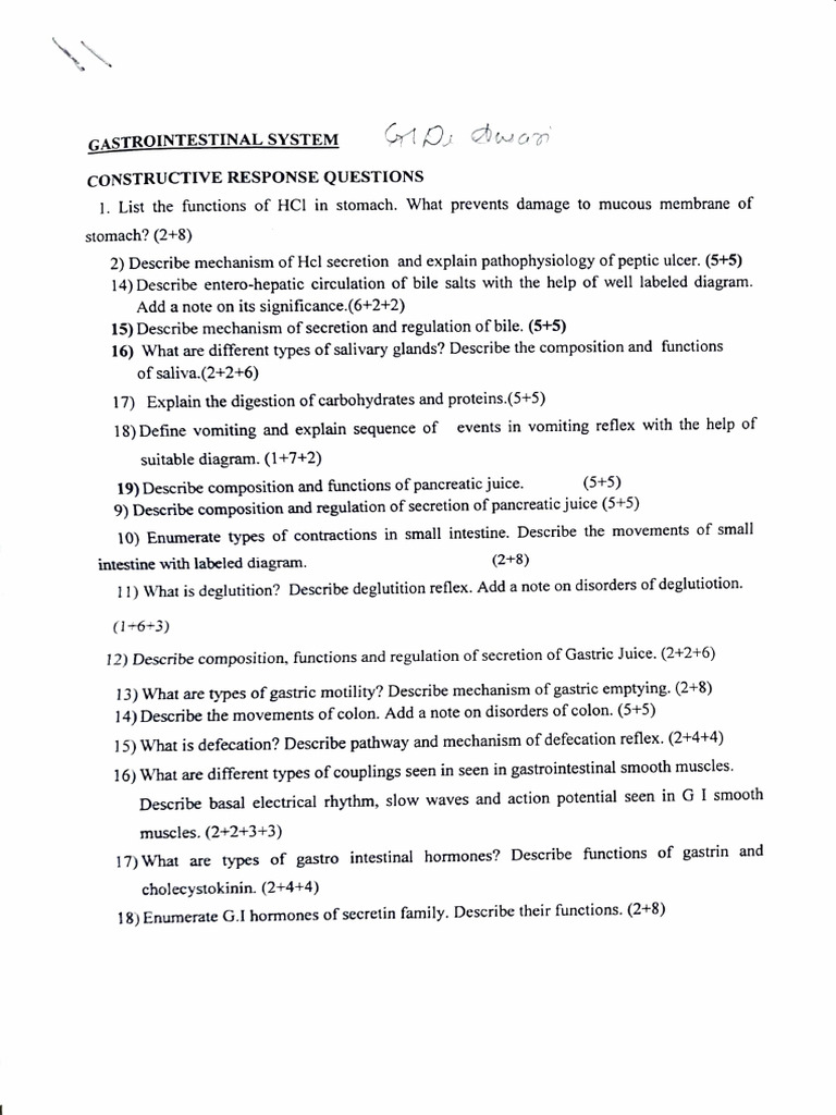 Git Questions | PDF | Digestion | Stomach