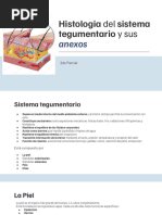 Origen Embrionario de los Tejidos Humanos | PDF | Embrión | Biología ...