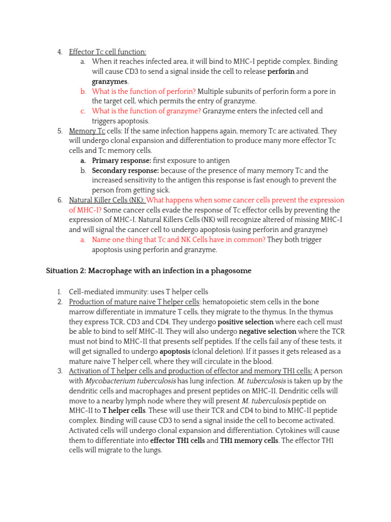 Immunology 3 | PDF | T Helper Cell | Antibody