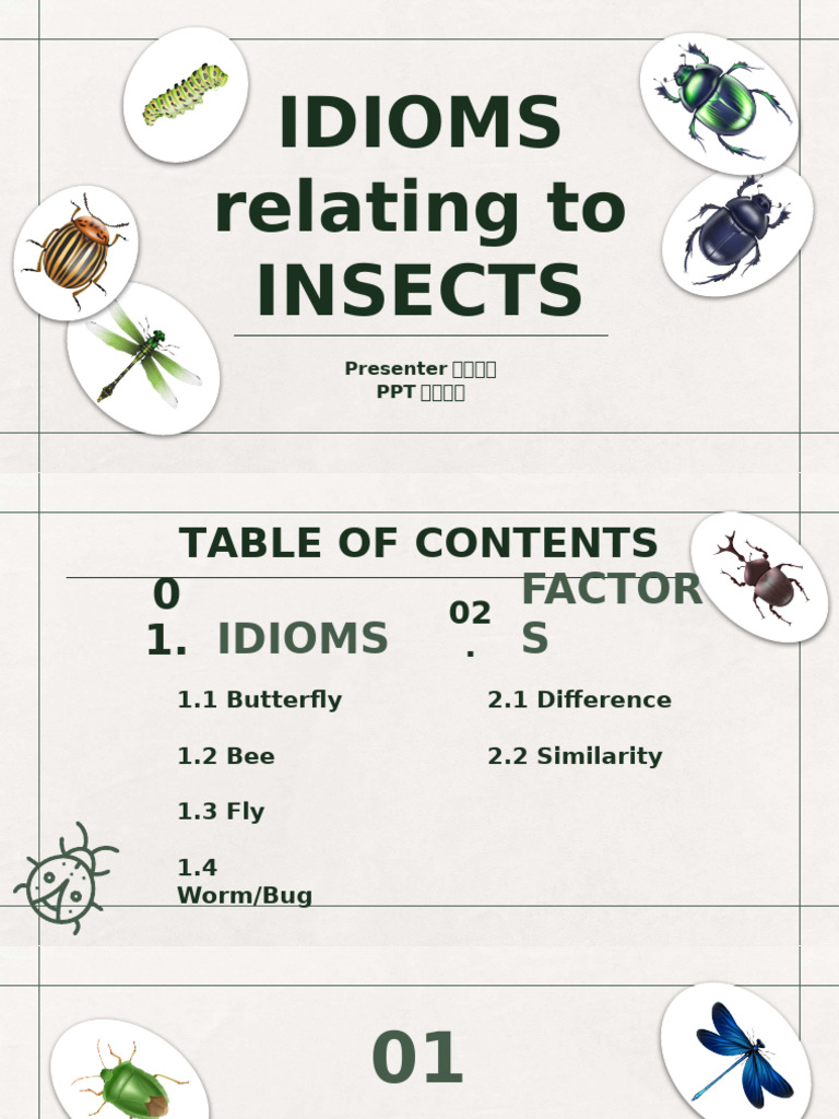 Insect-Related Idioms Explained | PDF
