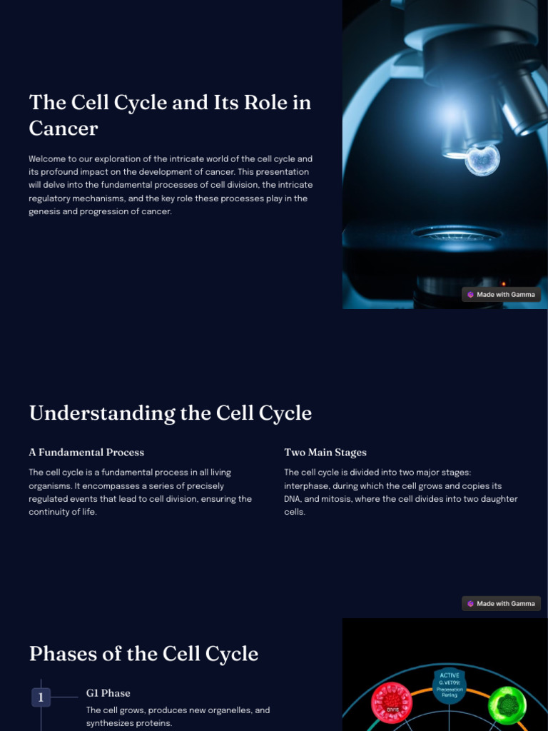 The Cell Cycle and Its Role in Cancer | PDF | Cell Cycle | Cell Growth