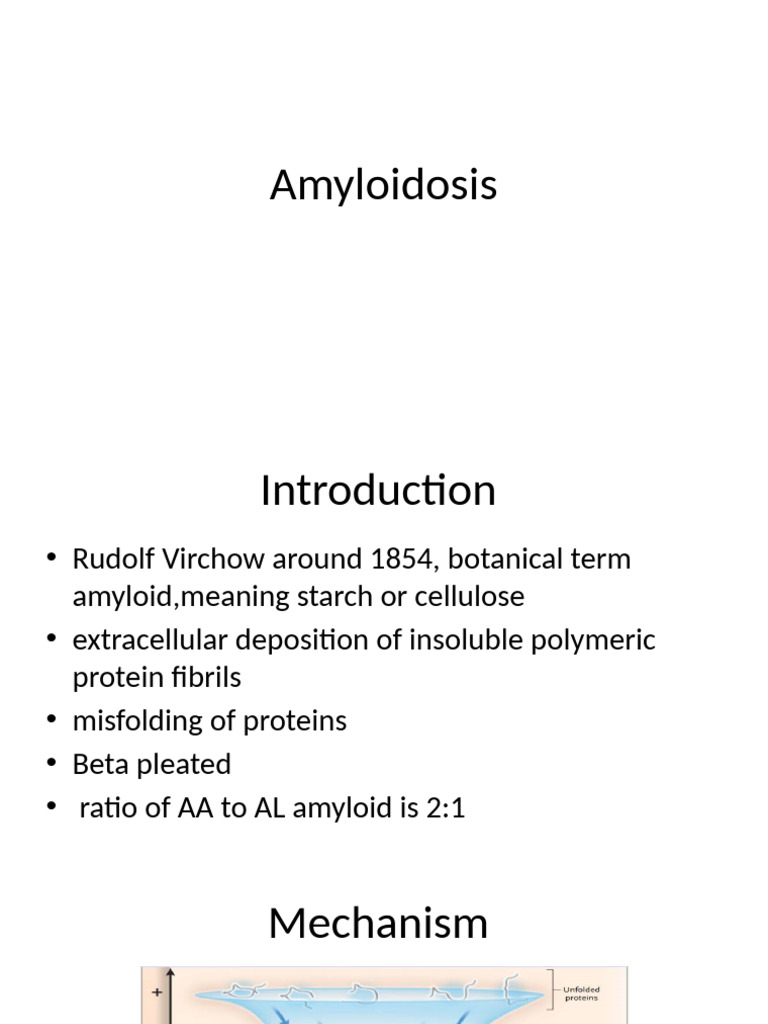 Amyloidosis | PDF | Causes Of Death | Diseases And Disorders