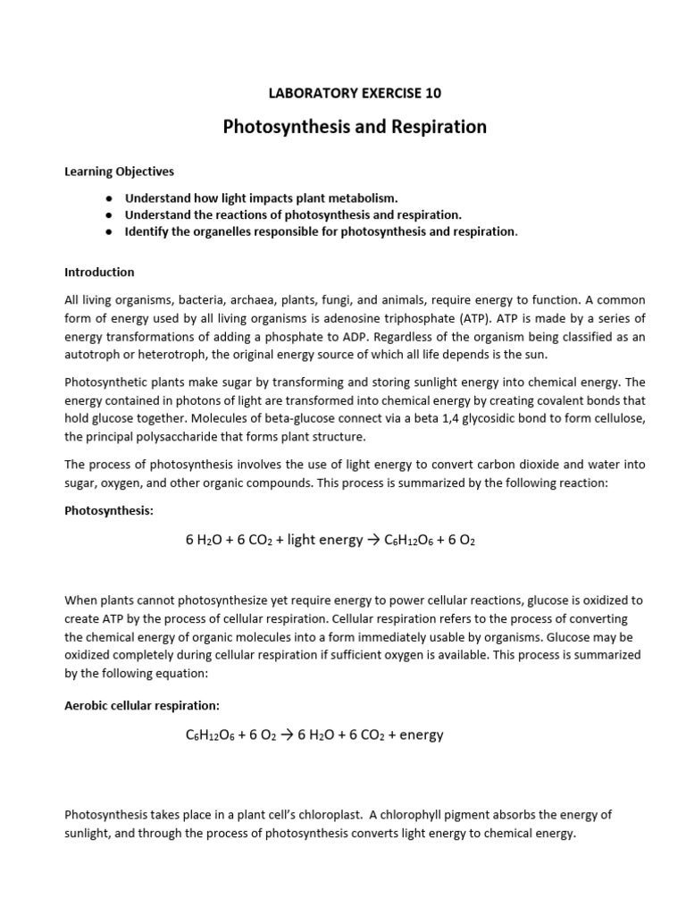 EX10 Photosynthesis and Respiration (Modified Verneir Lab) | PDF ...