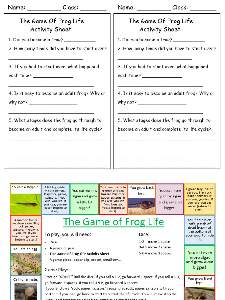 Day 1_ Game.pdf | PDF | Frog | Aquatic Vertebrates