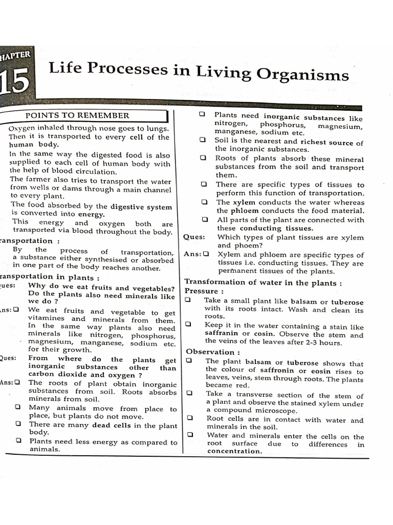 Life Process in Living Organisms Class 9th | PDF