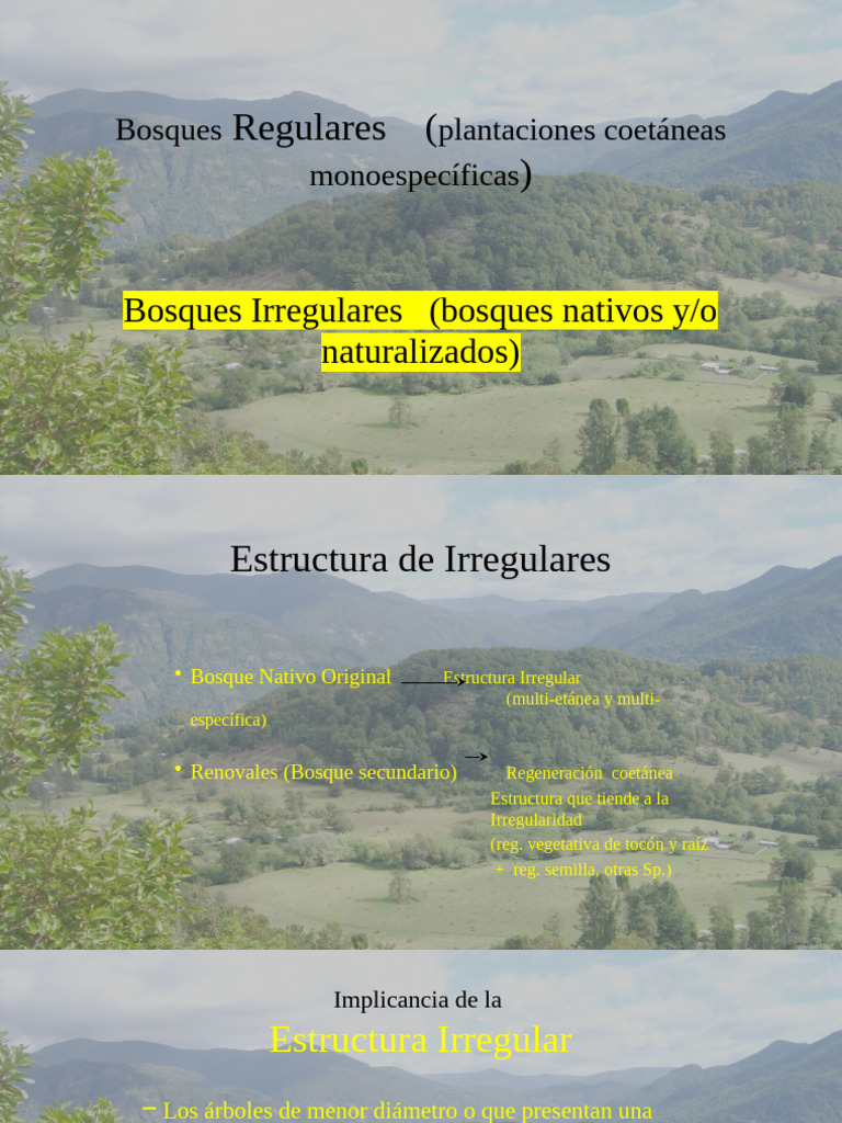 Manejo y Ordenación de Bosques Irregulares | PDF