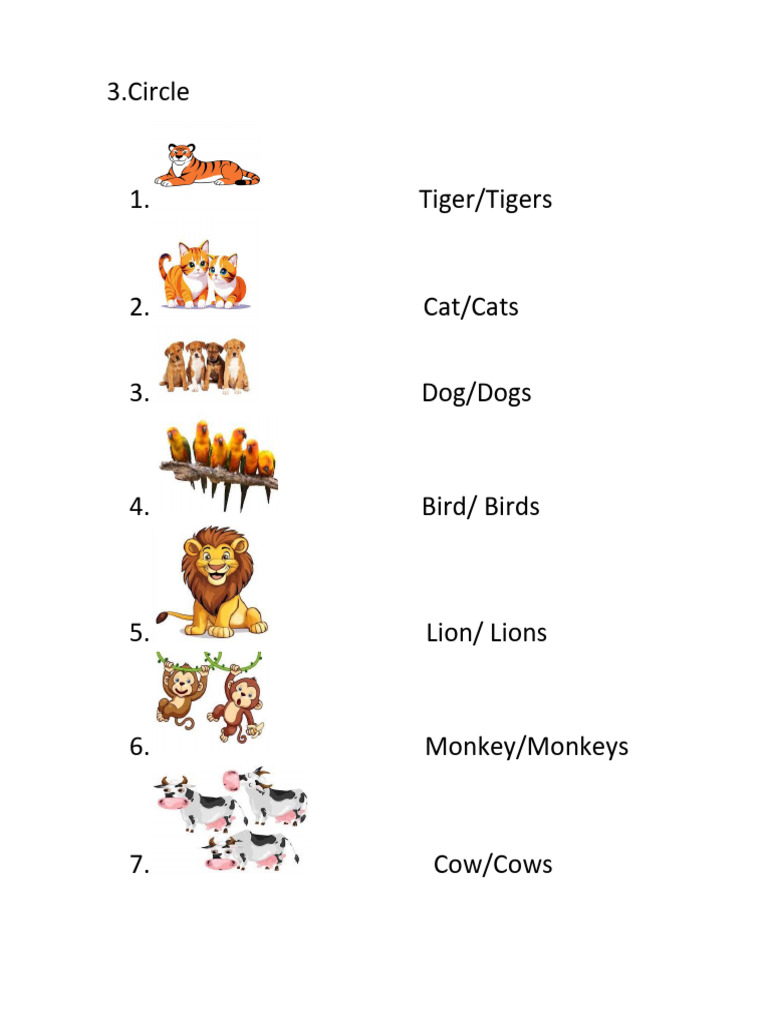 Unit 5 - Lesson 2 | PDF