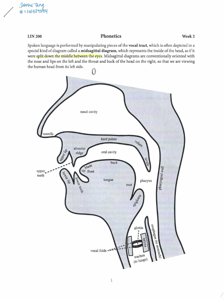 Phonetics | PDF
