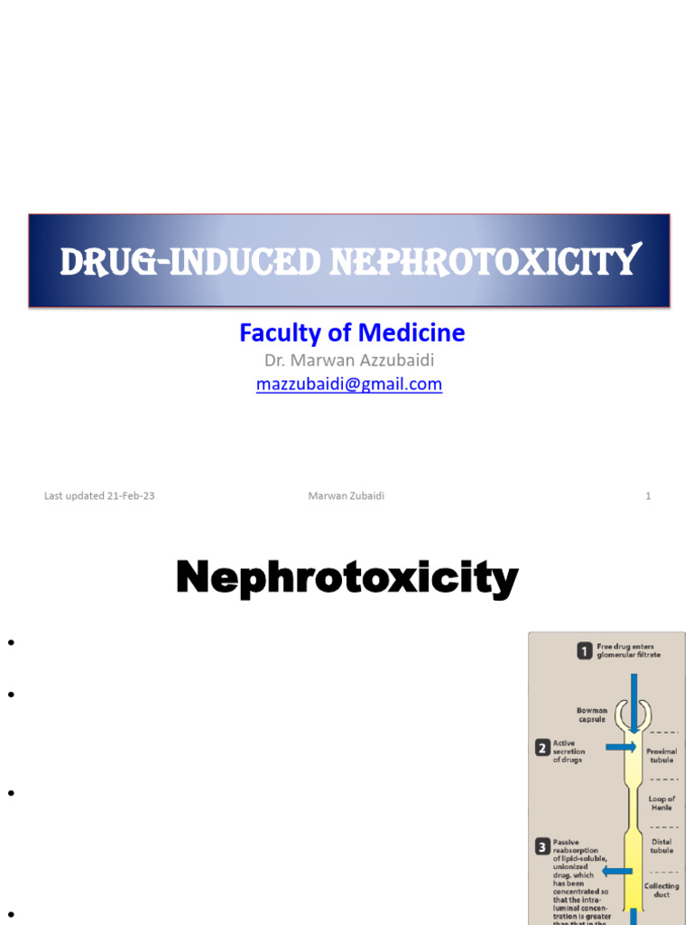 Understanding Drug-Induced Nephrotoxicity | PDF | Kidney | Nonsteroidal ...