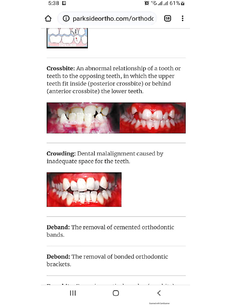 Ortho 7 8 Past | PDF