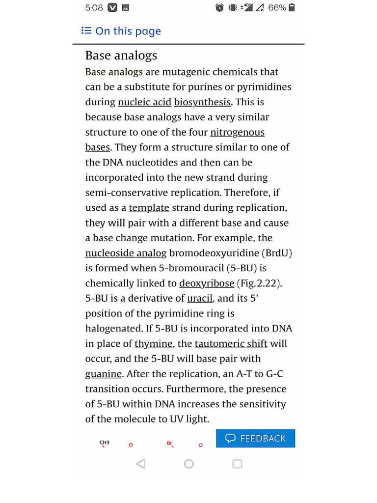 Base Analogues Mutations | PDF