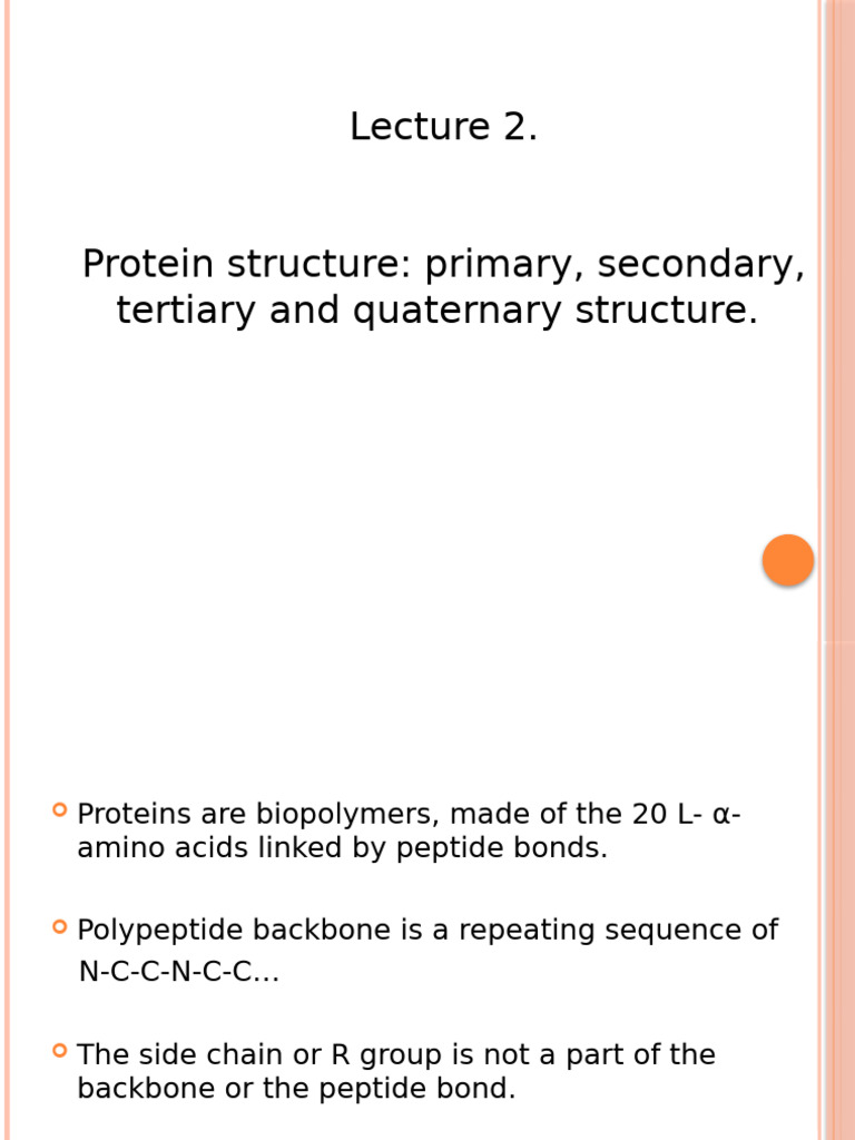 L2 Protein Structure | PDF | Beta Sheet | Protein Structure