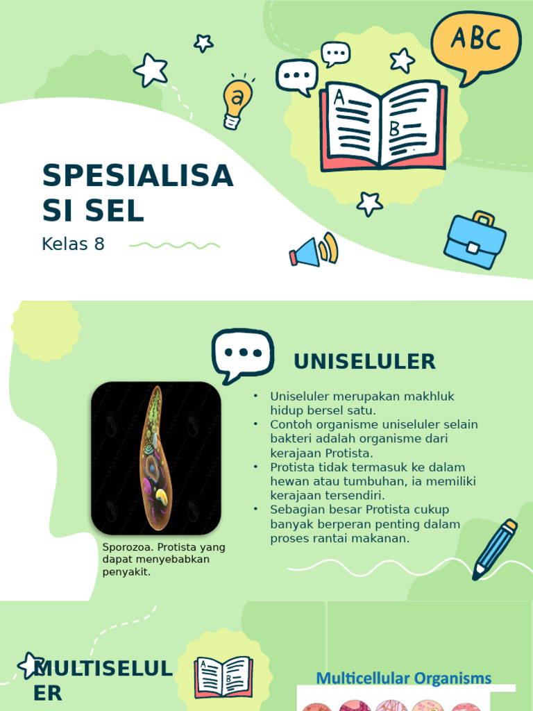 Spesialisasi Sel Hewan dan Tumbuhan | PDF