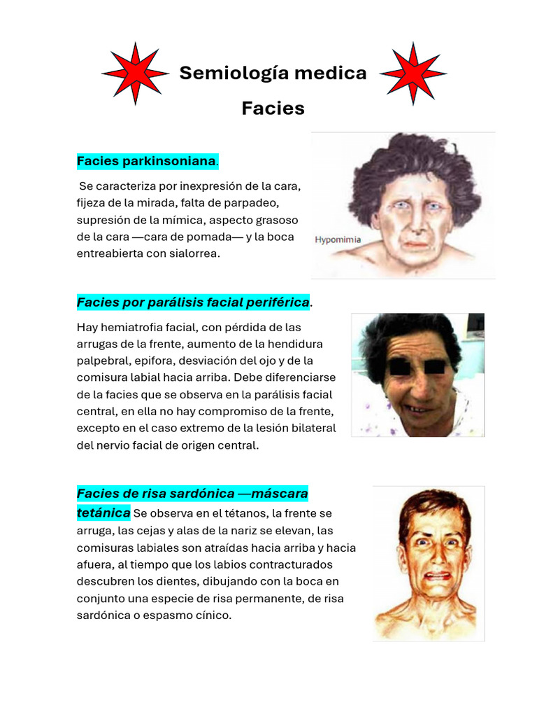 Facies | PDF | Anatomía humana | Cara