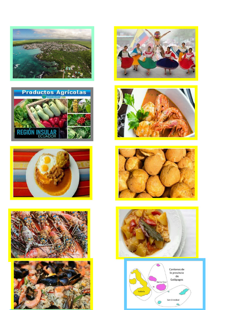 Proyecto Alexander | PDF