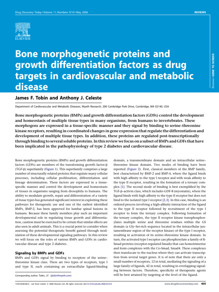 Bone morphogenetic proteins and growth differentiation factors as drug ...