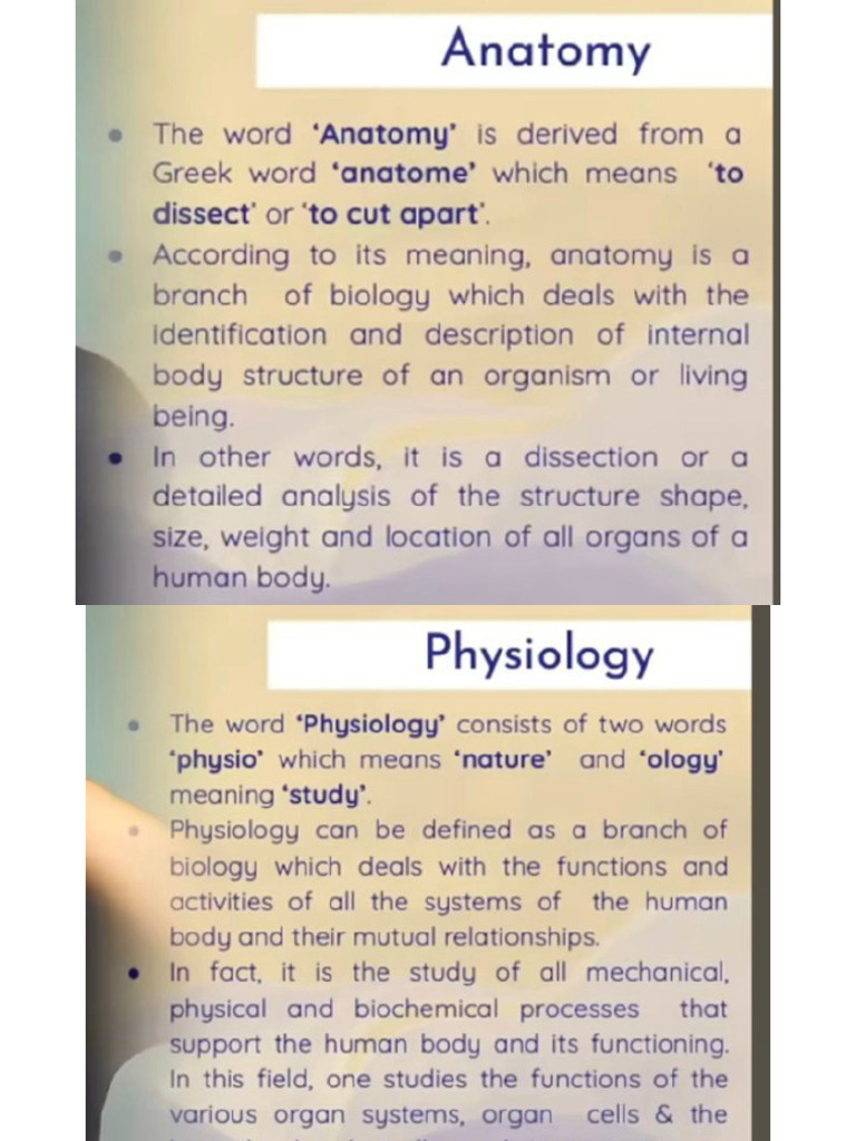 Anatomy | PDF