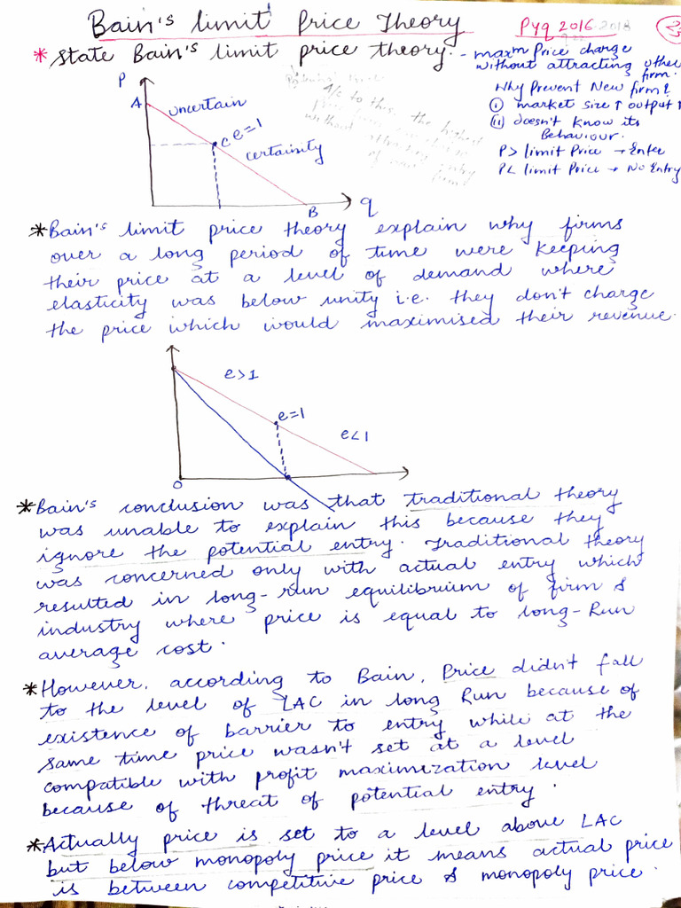 Bain Limit Pricing Notes | PDF