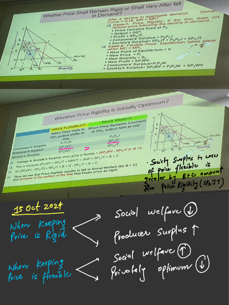 Menu Cost Theory (II) | PDF | Demand | Profit (Economics)