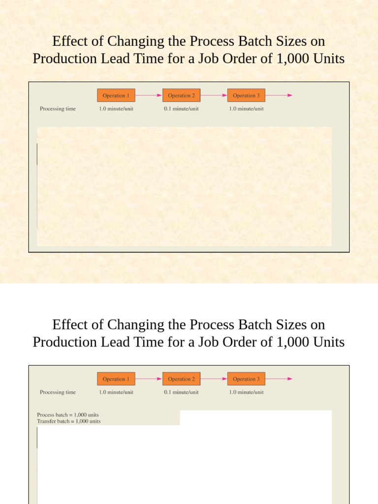 Process Batch Transfer Batch | PDF