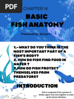 Fish Anatomy and Physiology Notes | PDF
