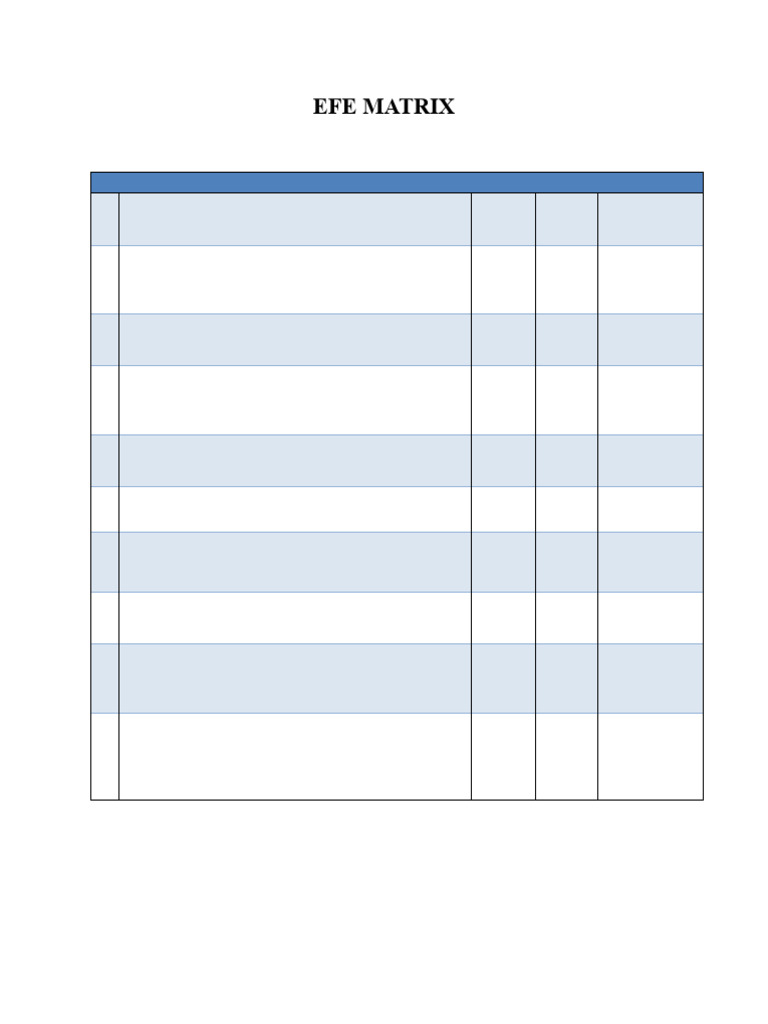Efe Matrix | PDF | Plastic | Economies