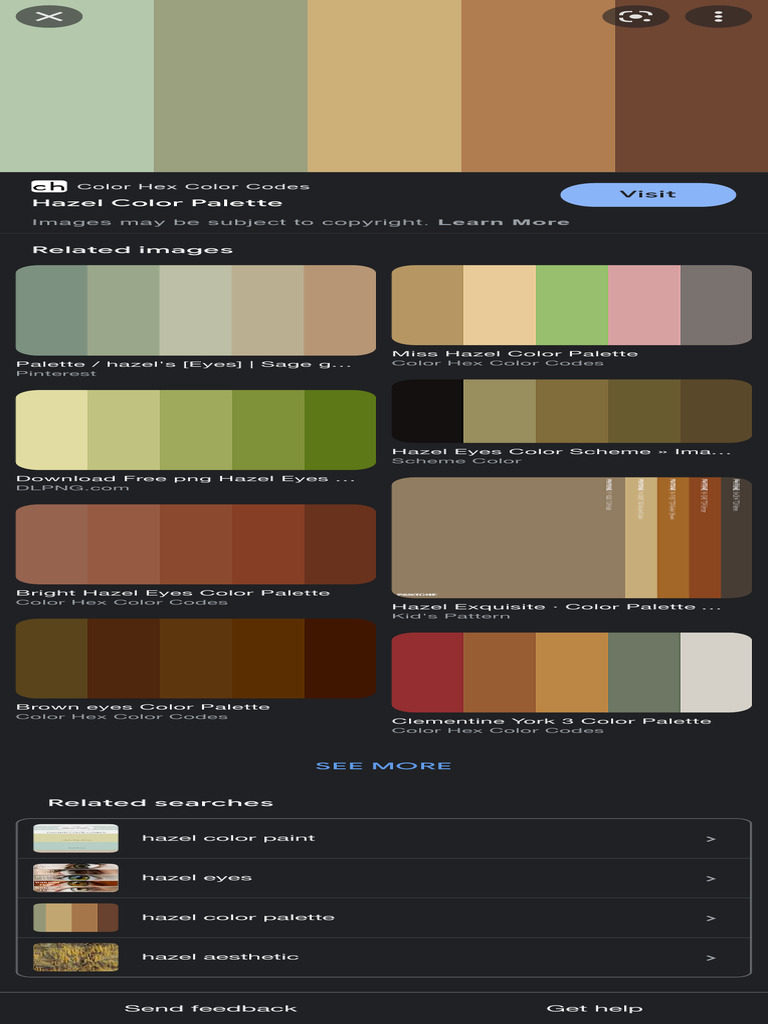 Hazel Color - Google Search | PDF