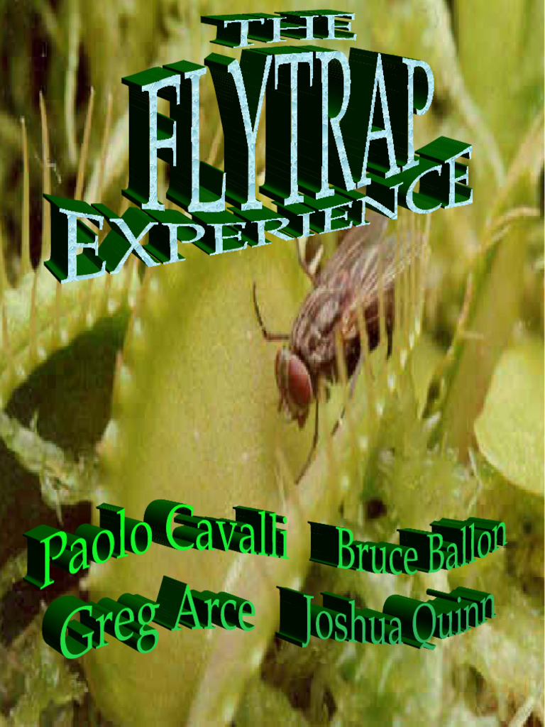 The Fly Trap Experience by Various | PDF | Psychiatry | Psychotherapy