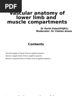 Terminology of Lower Limb Perforators | PDF | Vein | Foot