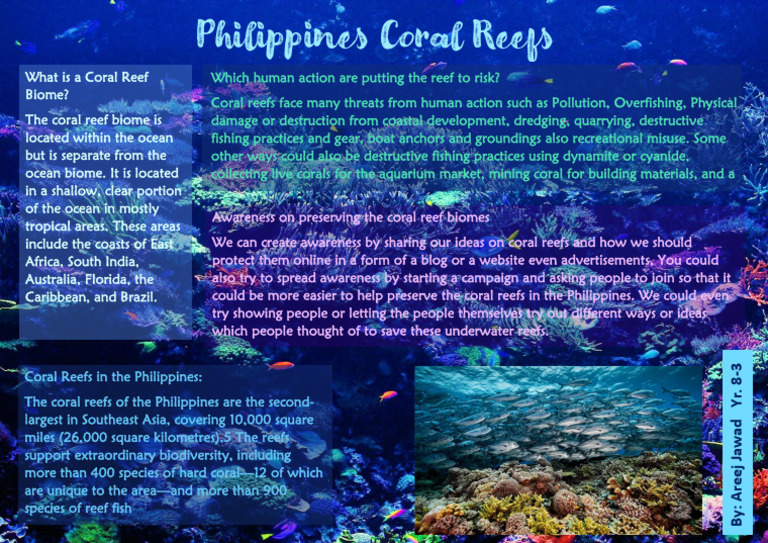 Coral Reef Poster - Areej | PDF