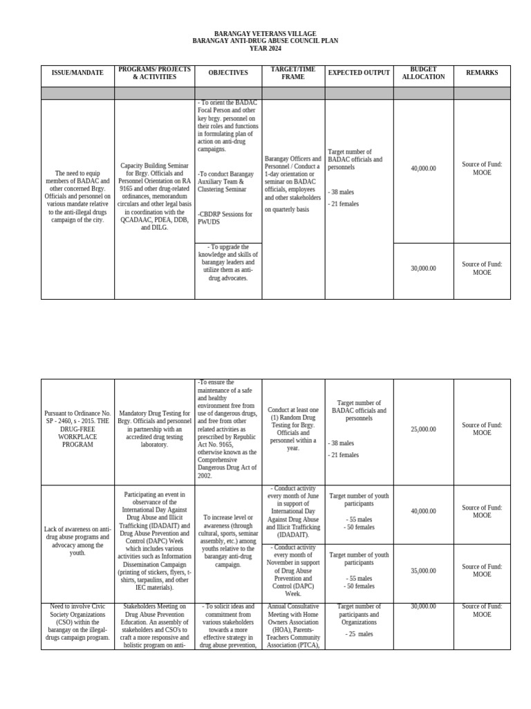 BADAC PLAN 2024 | PDF