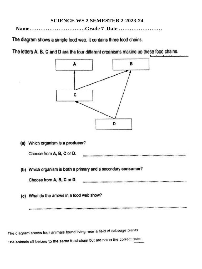 Science WS 2 Semester 2-2023-24 | PDF