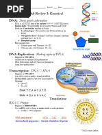 Genetics Practice Test With Answers | PDF