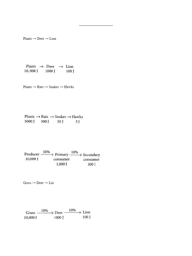 10 percent Law, Numericals | PDF | Food Web | Nature