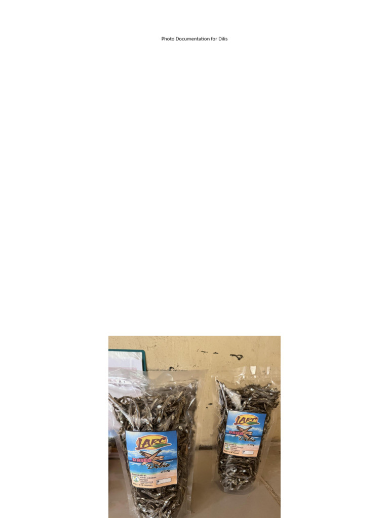 Photo Documentation for Dilis | PDF