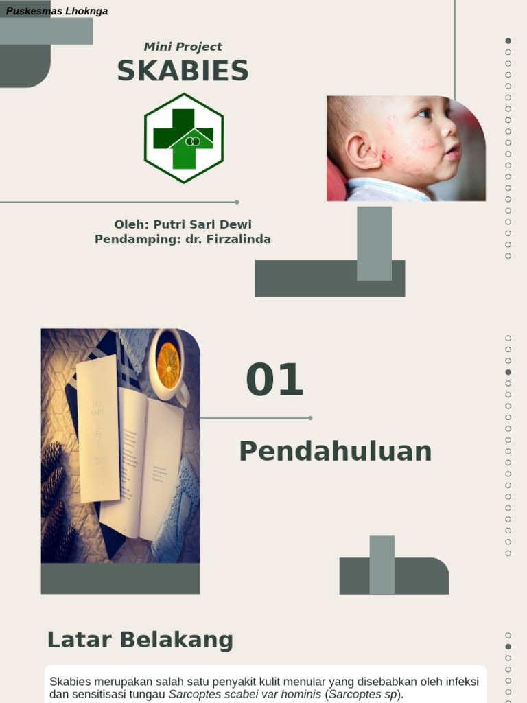 Minipro Skabies Putri Sari Dewi | PDF